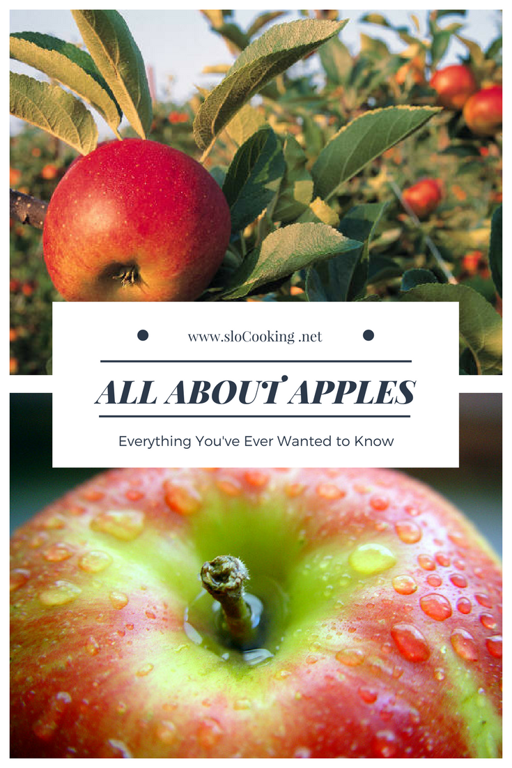 All About Apples - sloCooking